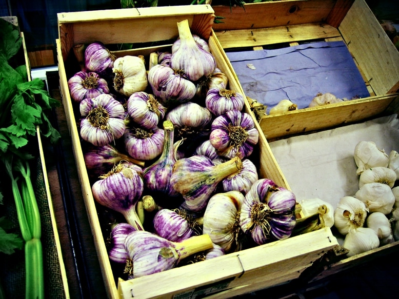 La culture de l'ail au jardin potager - potager jardin | potager jardin